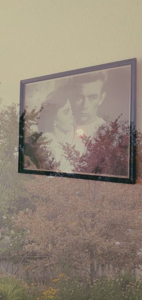 DIY LUCK by Clem Flowers – Kristin Garth & Pink Plastic House a tiny ...