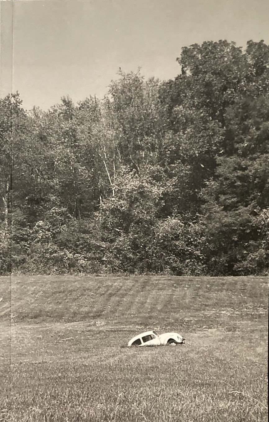 A Review of Bram Riddlebarger’s Golden Rod by Jesse Hilson – Kristin ...