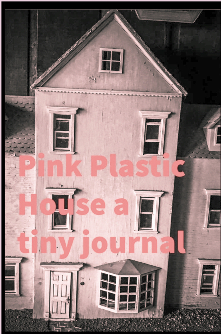 Pink Plastic House a tiny journal – Kristin Garth & Pink Plastic House ...